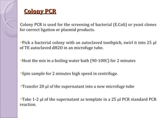 Polymerase Chain Reaction | PPT