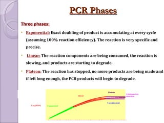 Polymerase Chain Reaction | PPT