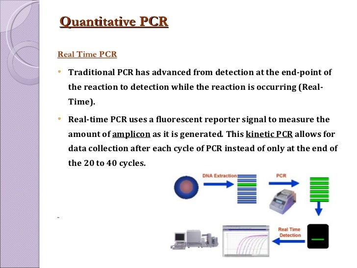 Polymerase Chain Reaction