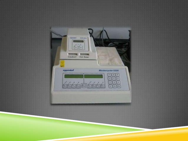 Polymerase chain reaction Rachel Randall | PPTX