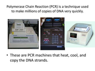 Polymerase chain reaction | PPTX