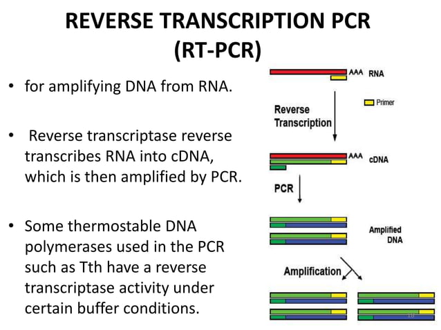 PCR-SlideShare