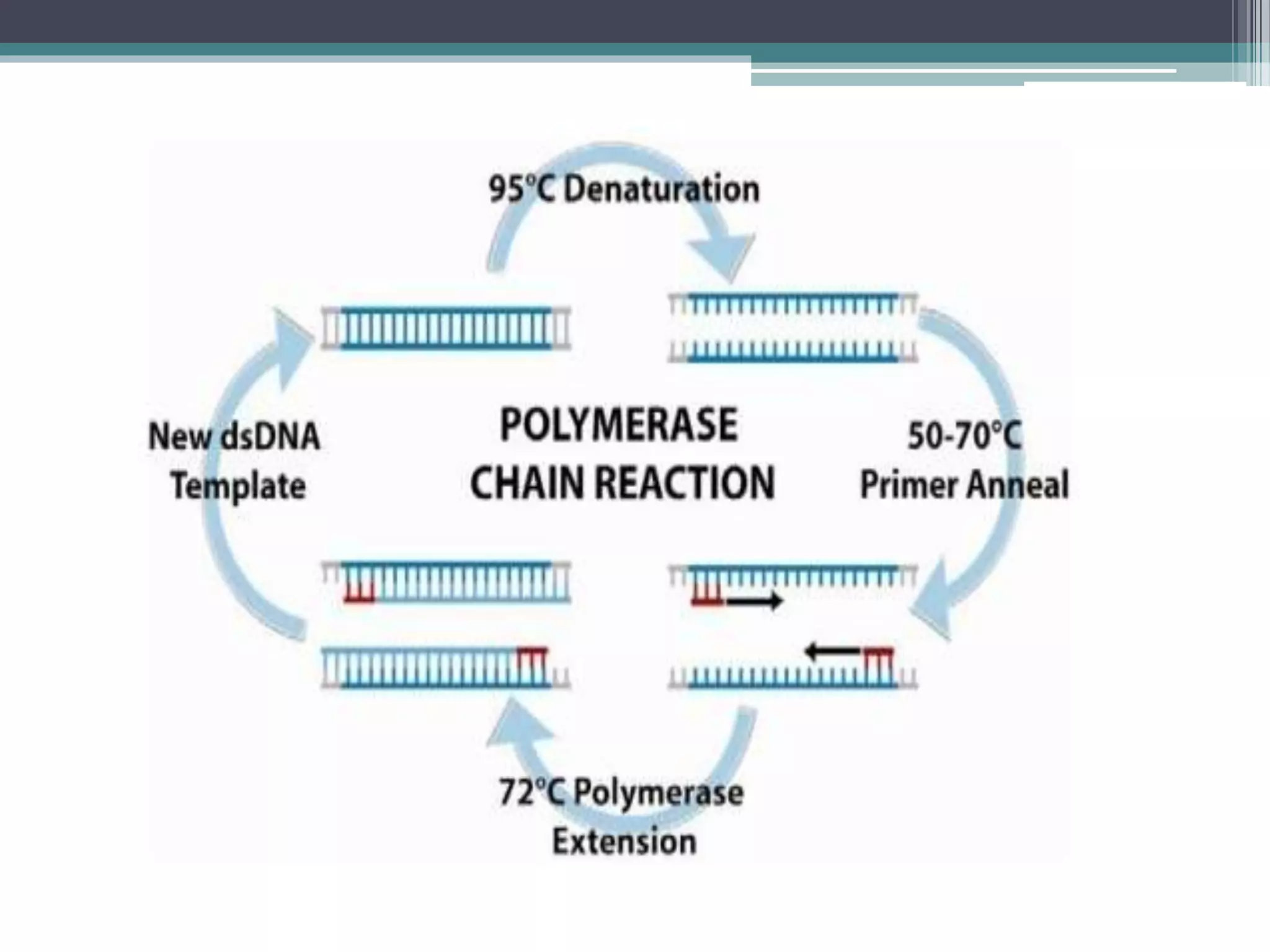 Polymerase chain reaction | PPTX