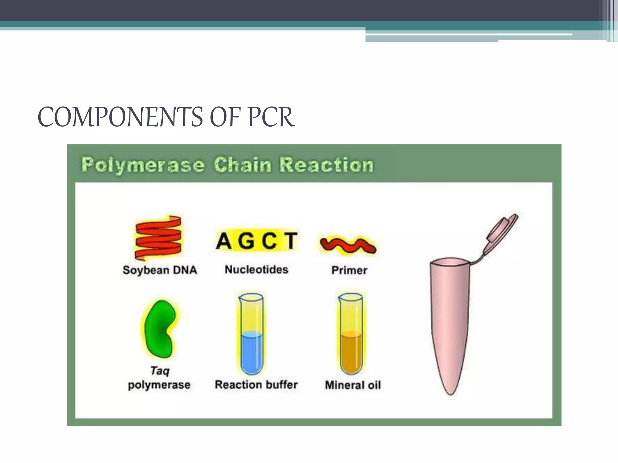 Polymerase chain reaction | PPTX