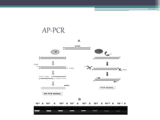 Polymerase chain reaction | PPT