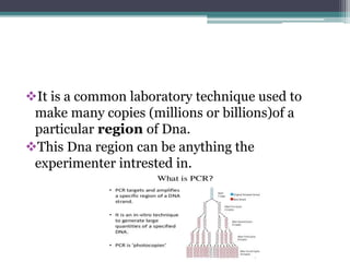 Polymerase chain reaction | PPT