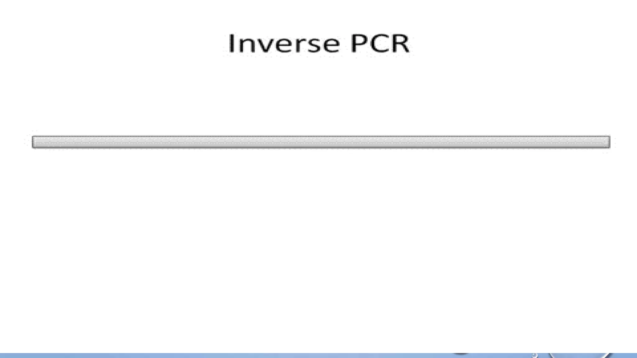 Polymerase chain reaction {PCR} | PPT