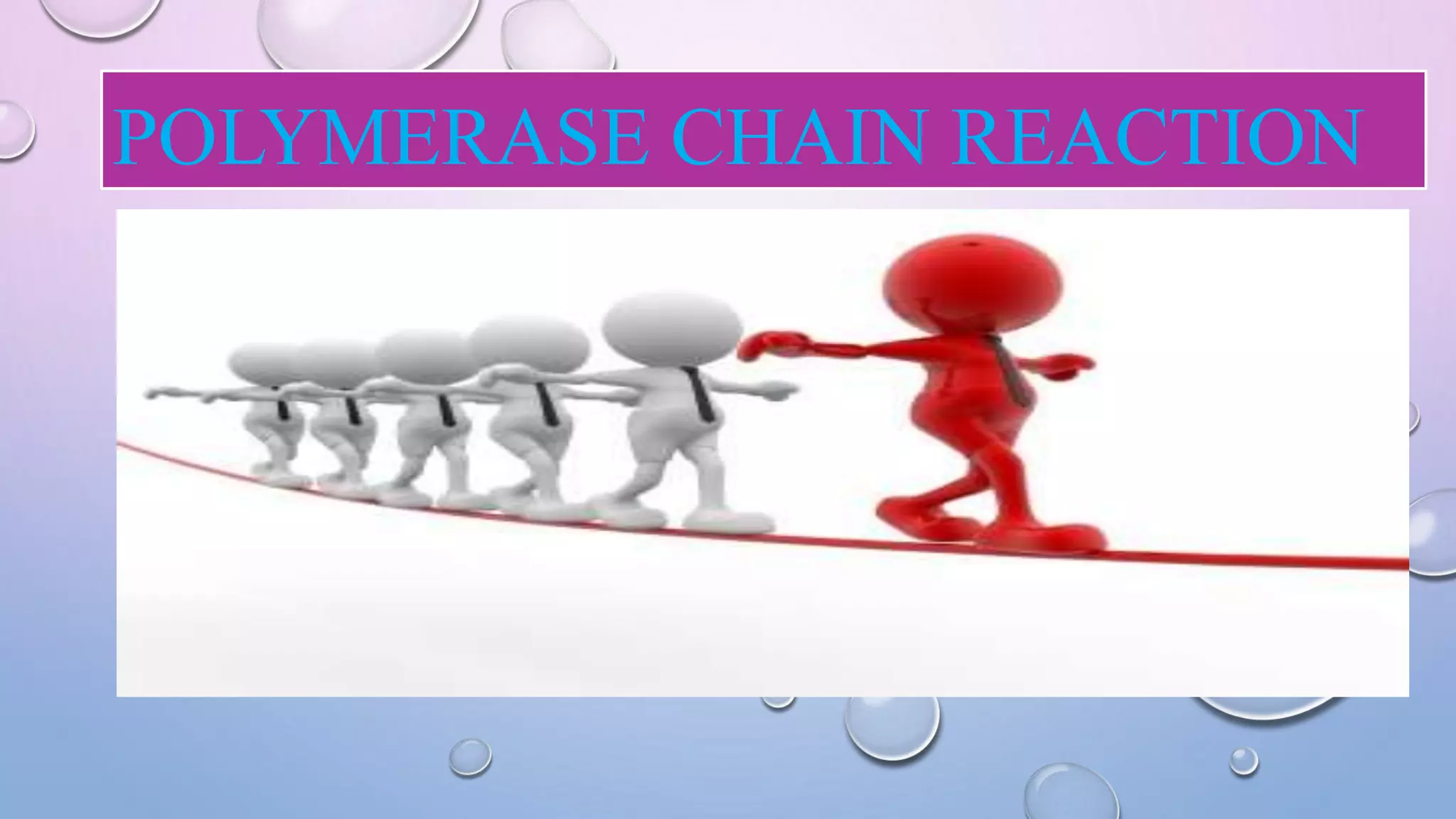 Polymerase chain reaction {PCR} | PPT