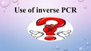 Polymerase chain reaction {PCR} | PPT
