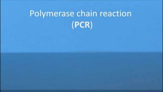 Polymerase chain reaction {PCR} | PPT