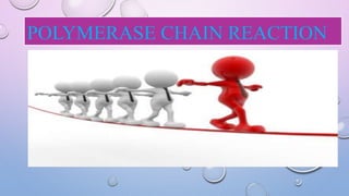Polymerase chain reaction {PCR} | PPT