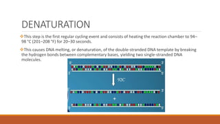 Polymerase chain reaction | PPTX