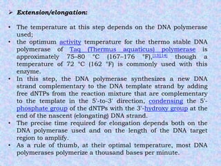 Polymerase chain reaction | PPTX
