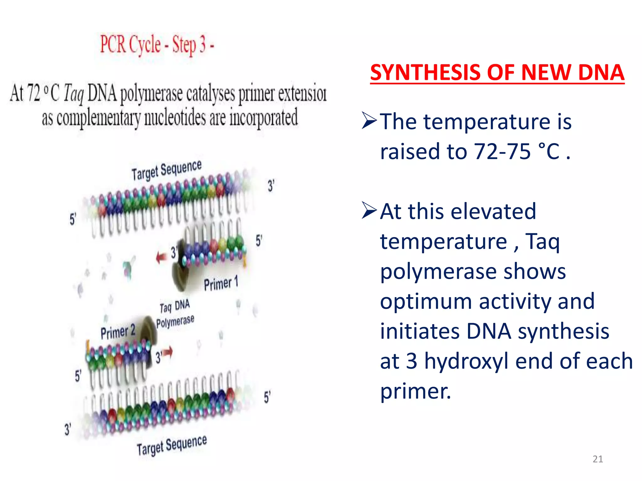 Polymerase chain reaction | PPT