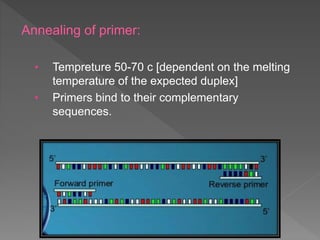 Polymerase chain reaction | PPTX