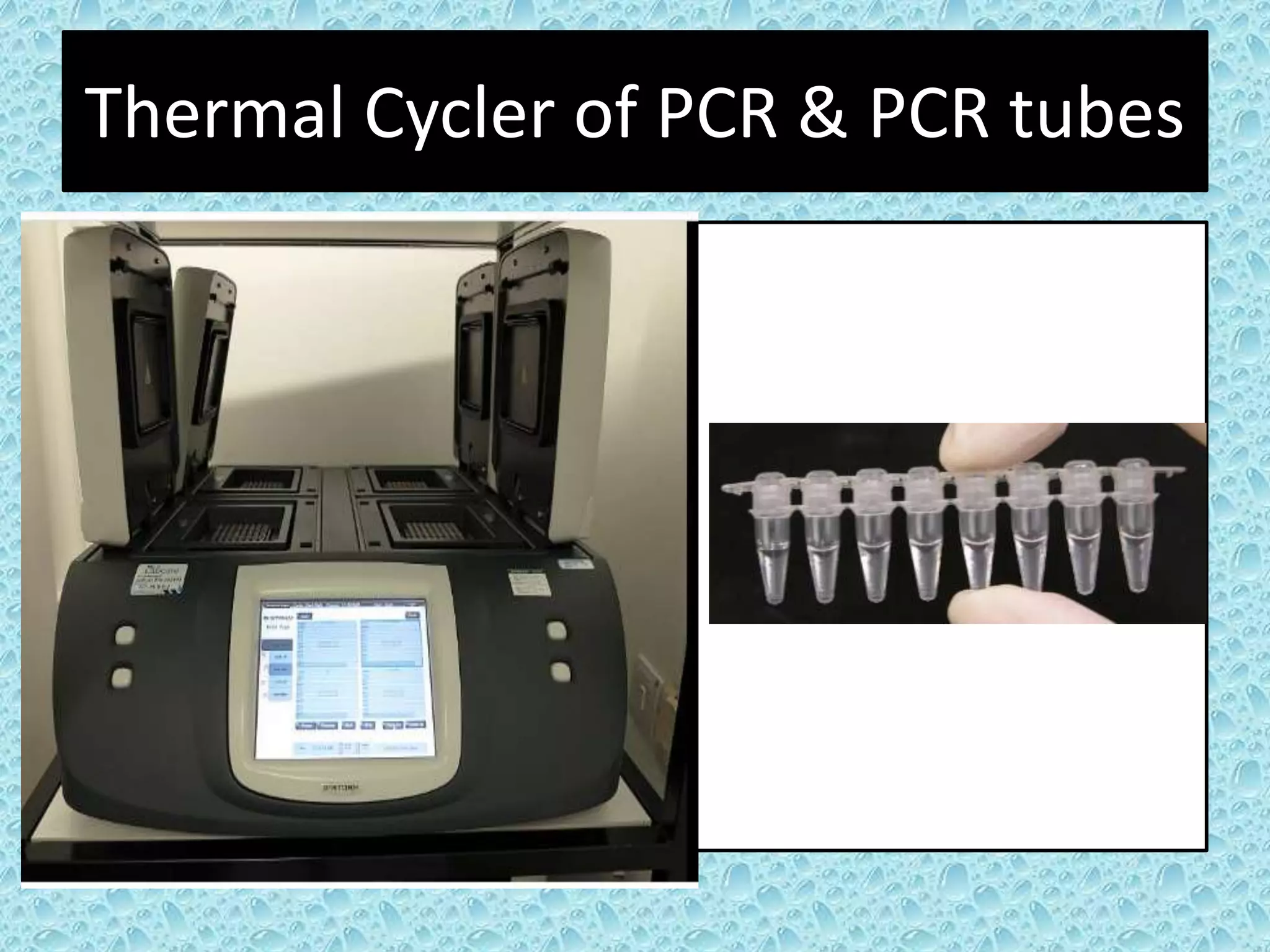 Polymerase chain reaction | PPTX