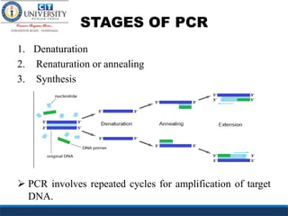 Polymerase chain reaction | PPTX