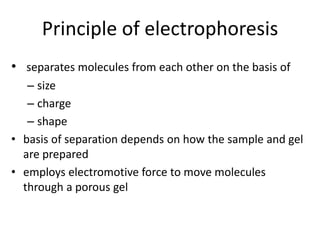 Polymerase chain reaction | PPTX | Chemistry | Science