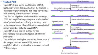 Polymerase chain reaction | PPTX | Chemistry | Science