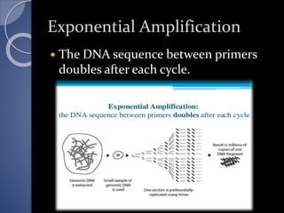 Polymerase chain reaction | PPTX