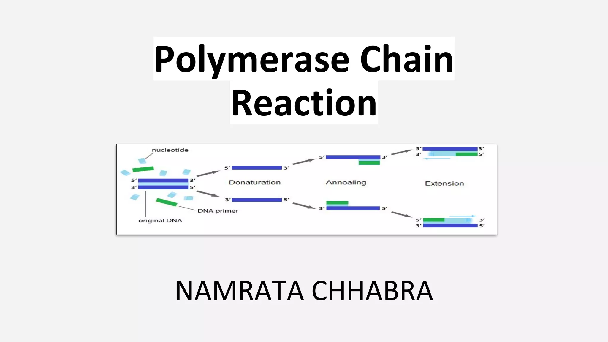 Polymerase Chain Reaction Principle Procedure And Applications Of Pcr Ppt