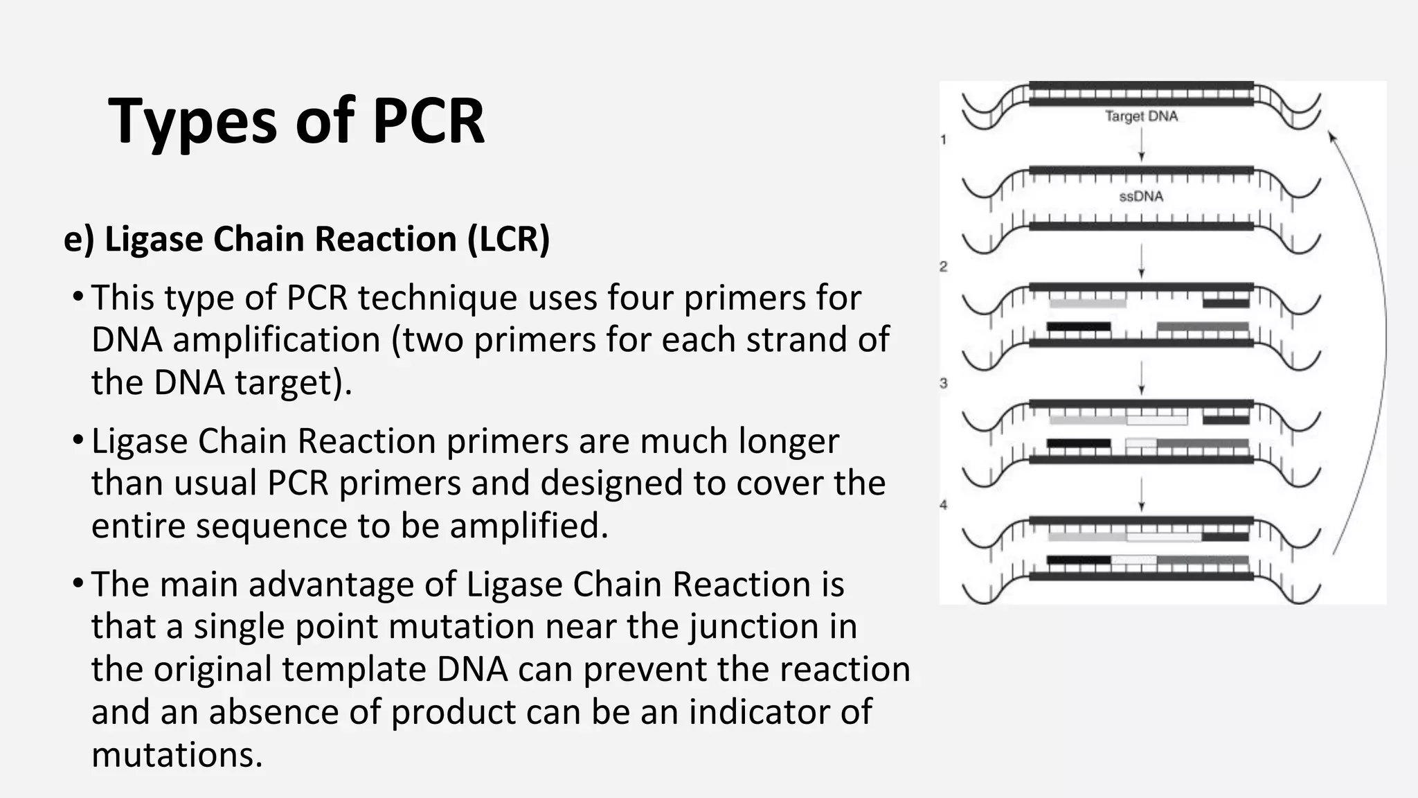 Polymerase Chain Reaction- Principle, procedure, and applications of ...