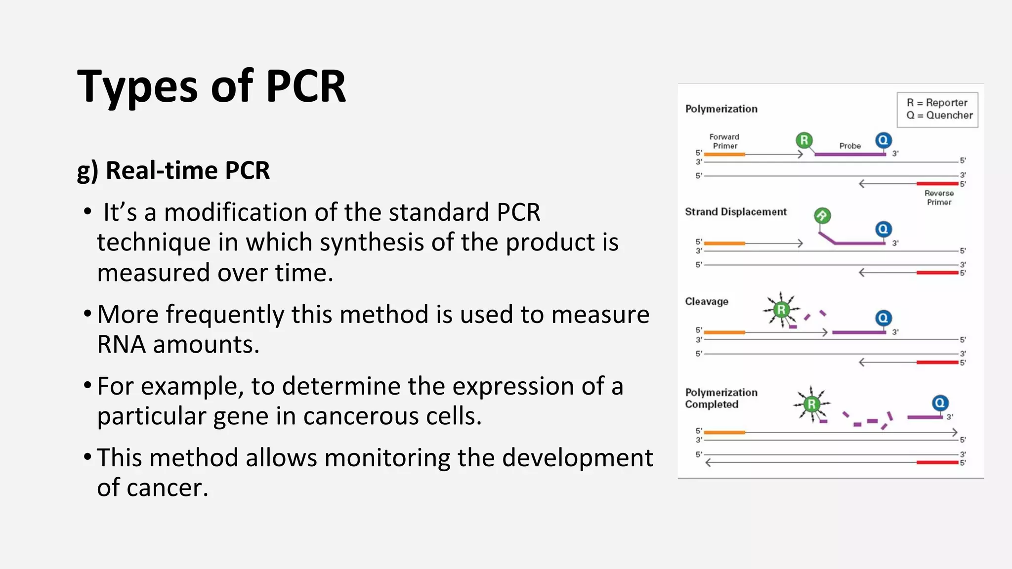 Polymerase Chain Reaction- Principle, procedure, and applications of ...