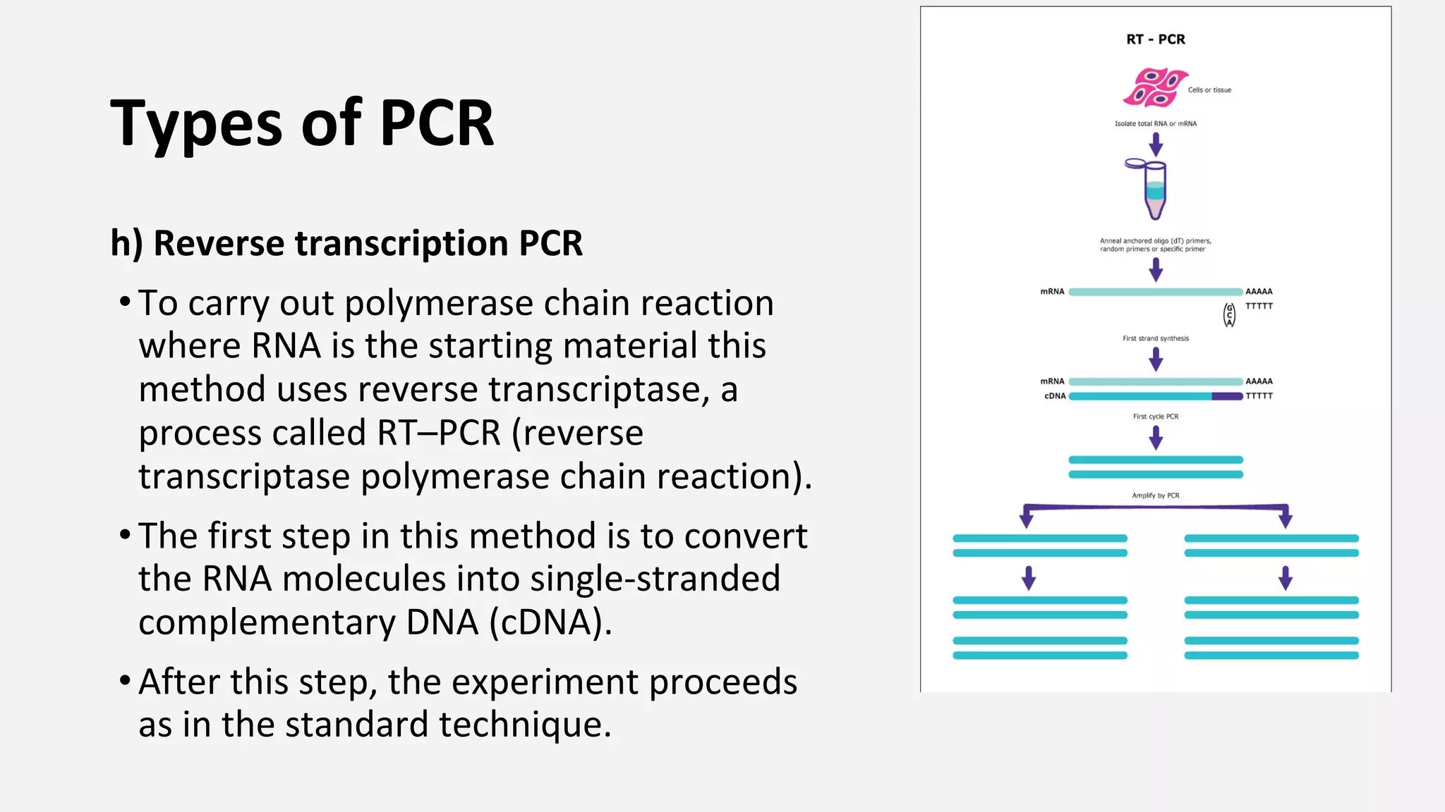 Polymerase Chain Reaction- Principle, procedure, and applications of PCR | PDF