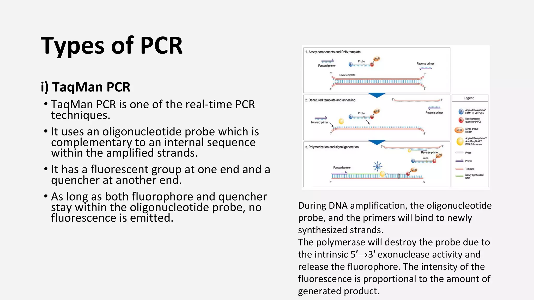 Polymerase Chain Reaction- Principle, procedure, and applications of ...