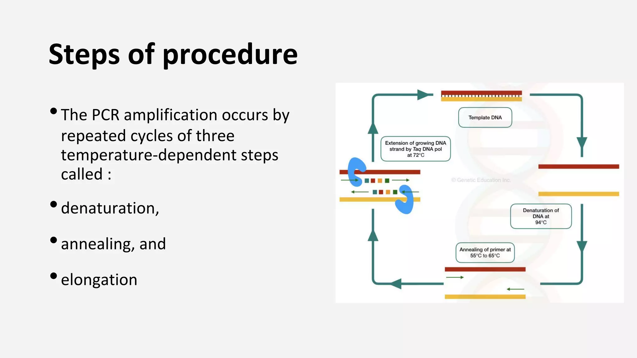 Polymerase Chain Reaction- Principle, procedure, and applications of ...