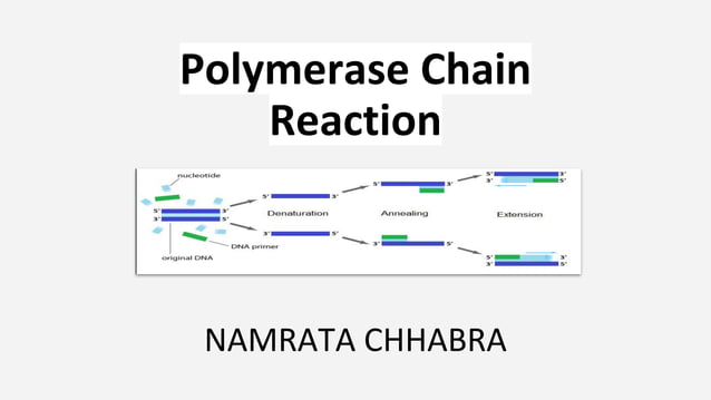 Polymerase Chain Reaction- Principle, procedure, and applications of PCR | PDF | Genetics | Science