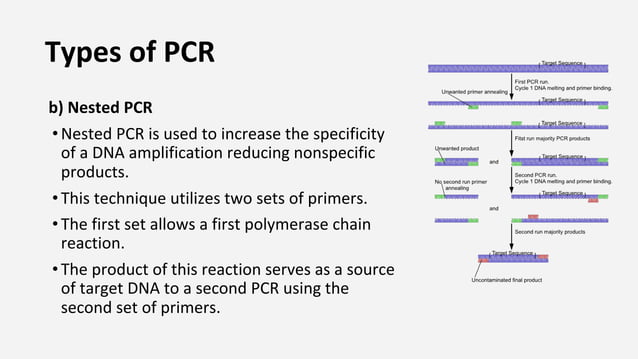 Polymerase Chain Reaction- Principle, procedure, and applications of ...