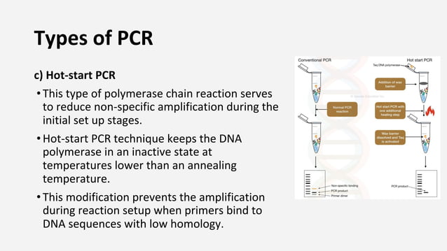 Polymerase Chain Reaction- Principle, procedure, and applications of PCR | PDF | Genetics | Science
