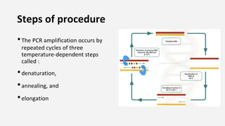 Polymerase Chain Reaction- Principle, procedure, and applications of ...