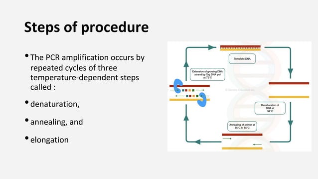 Polymerase Chain Reaction- Principle, procedure, and applications of PCR | PDF | Genetics | Science