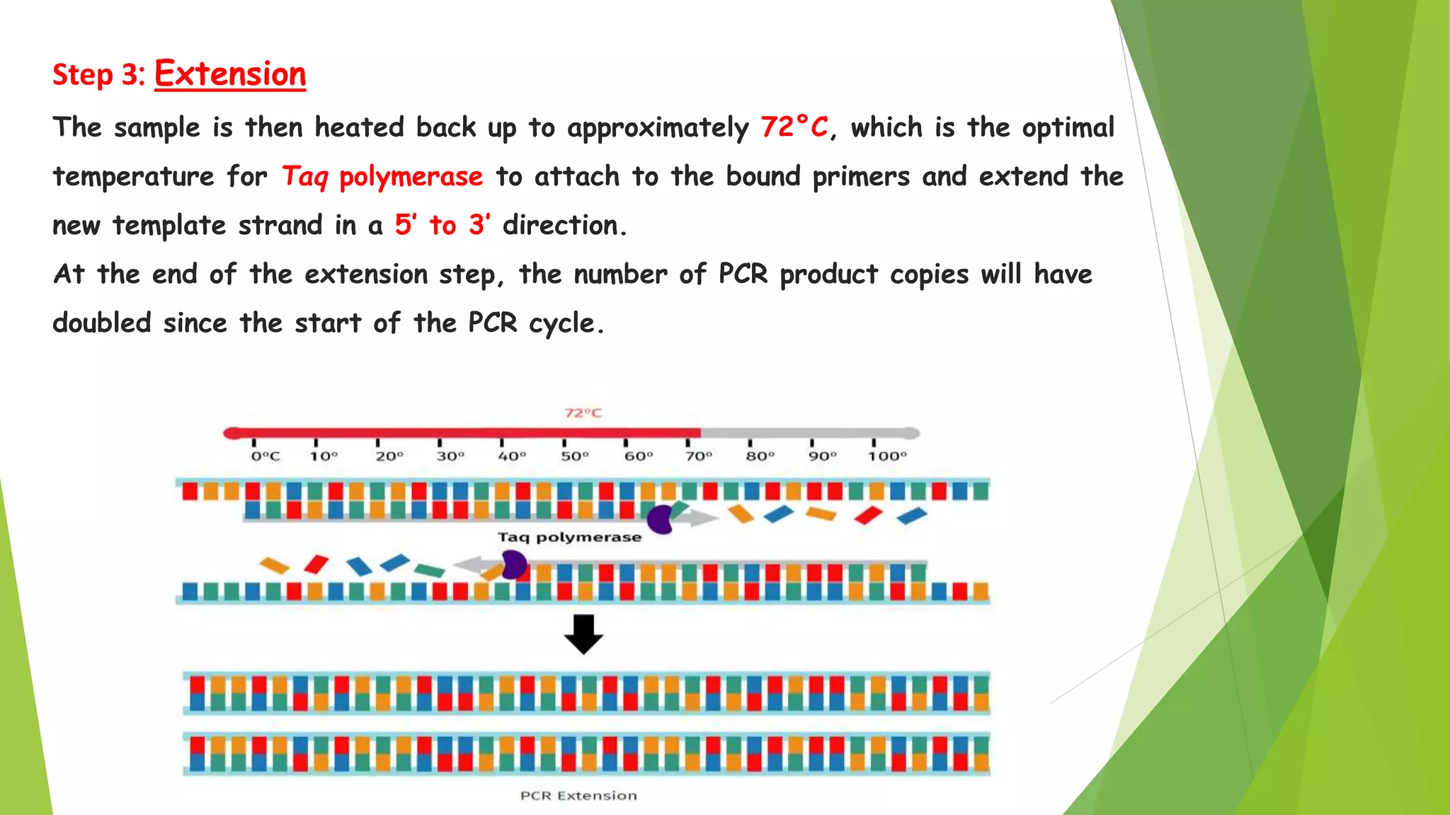 POLYMERASE CHAIN REACTION.pptx
