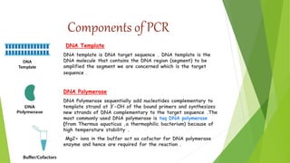 POLYMERASE CHAIN REACTION.pptx