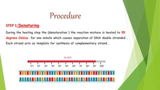 POLYMERASE CHAIN REACTION.pptx