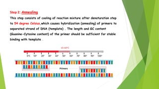 POLYMERASE CHAIN REACTION.pptx