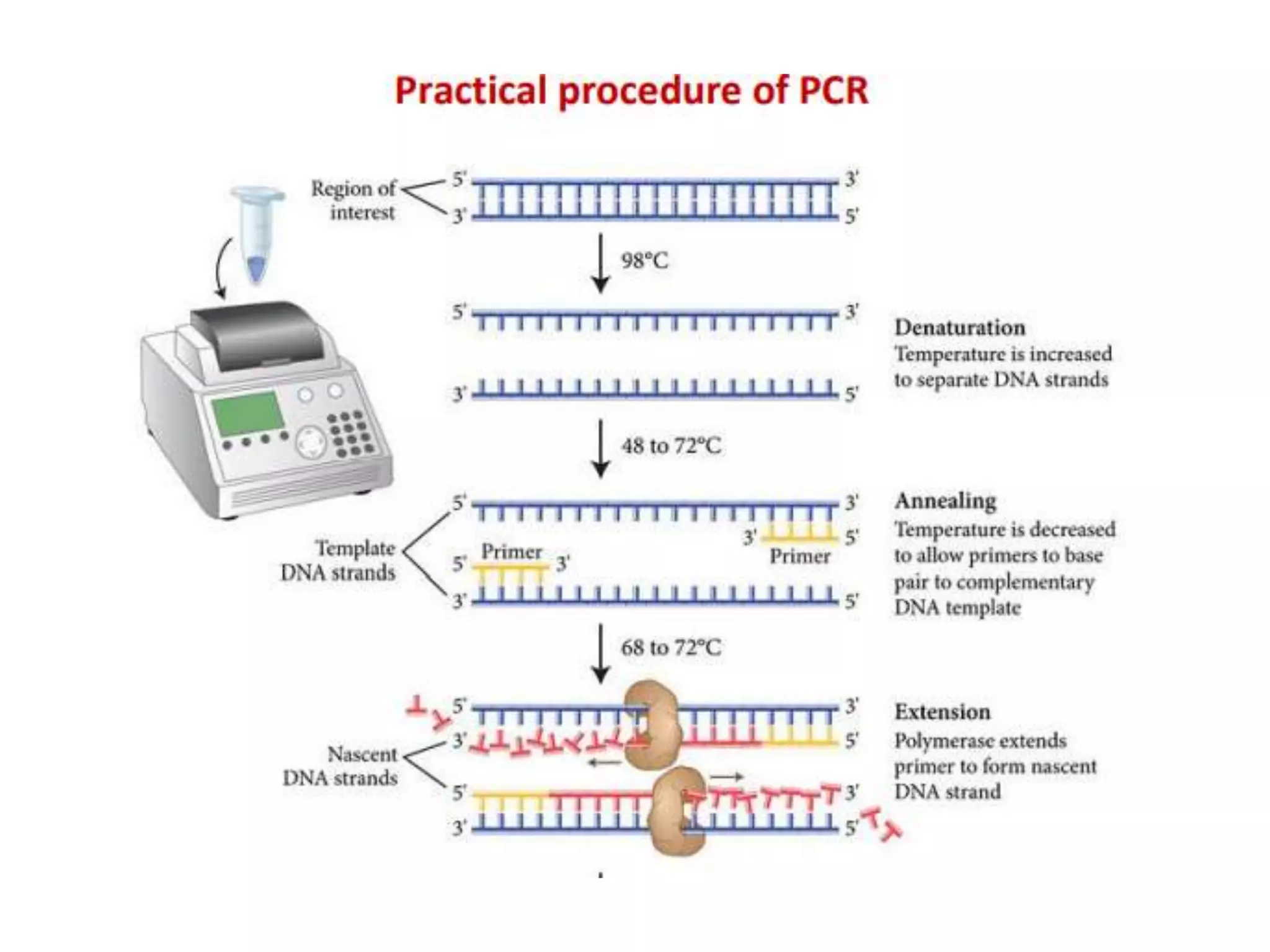 Polymerase Chain Reaction.pptx