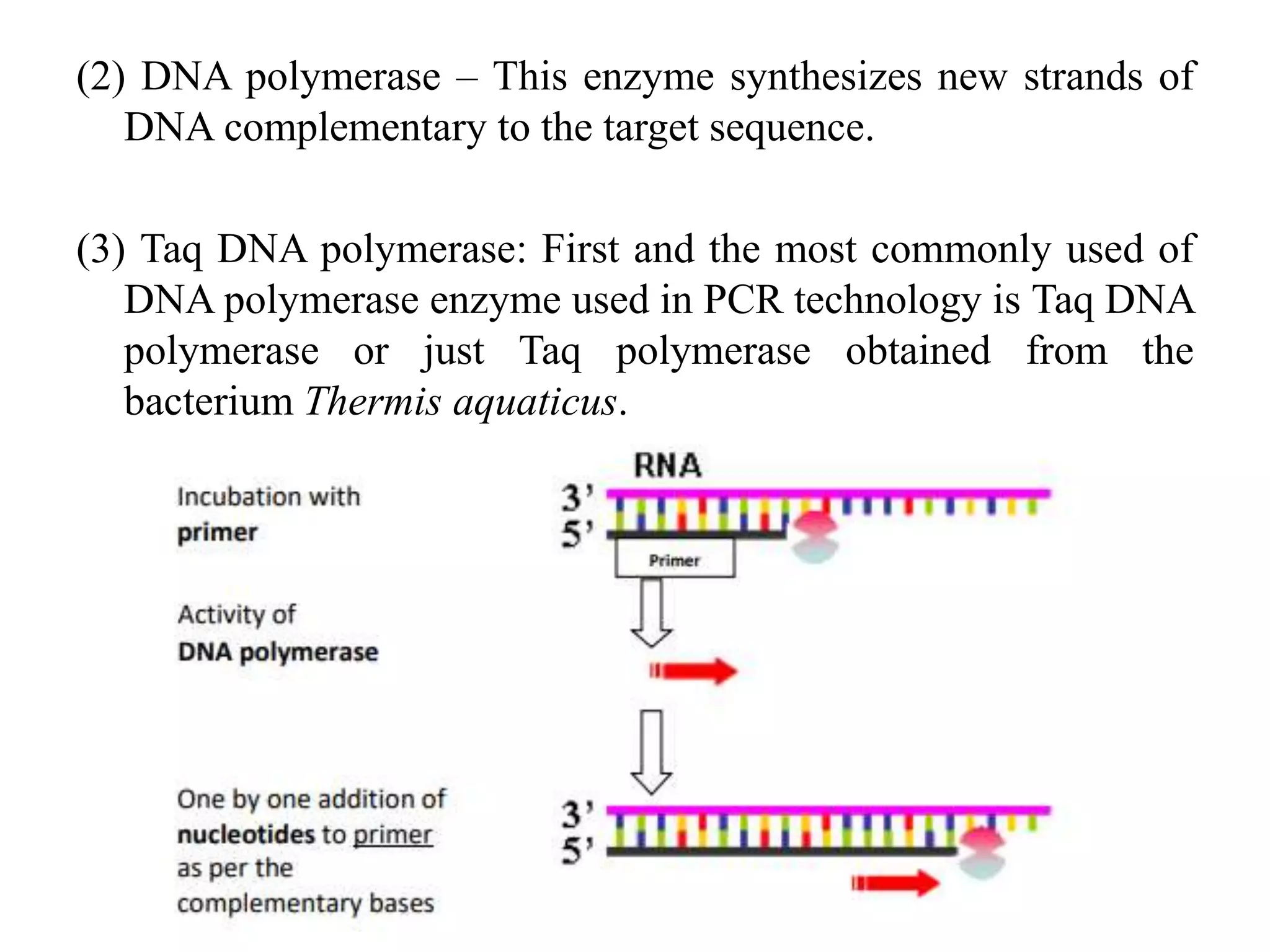 Polymerase Chain Reaction.pptx