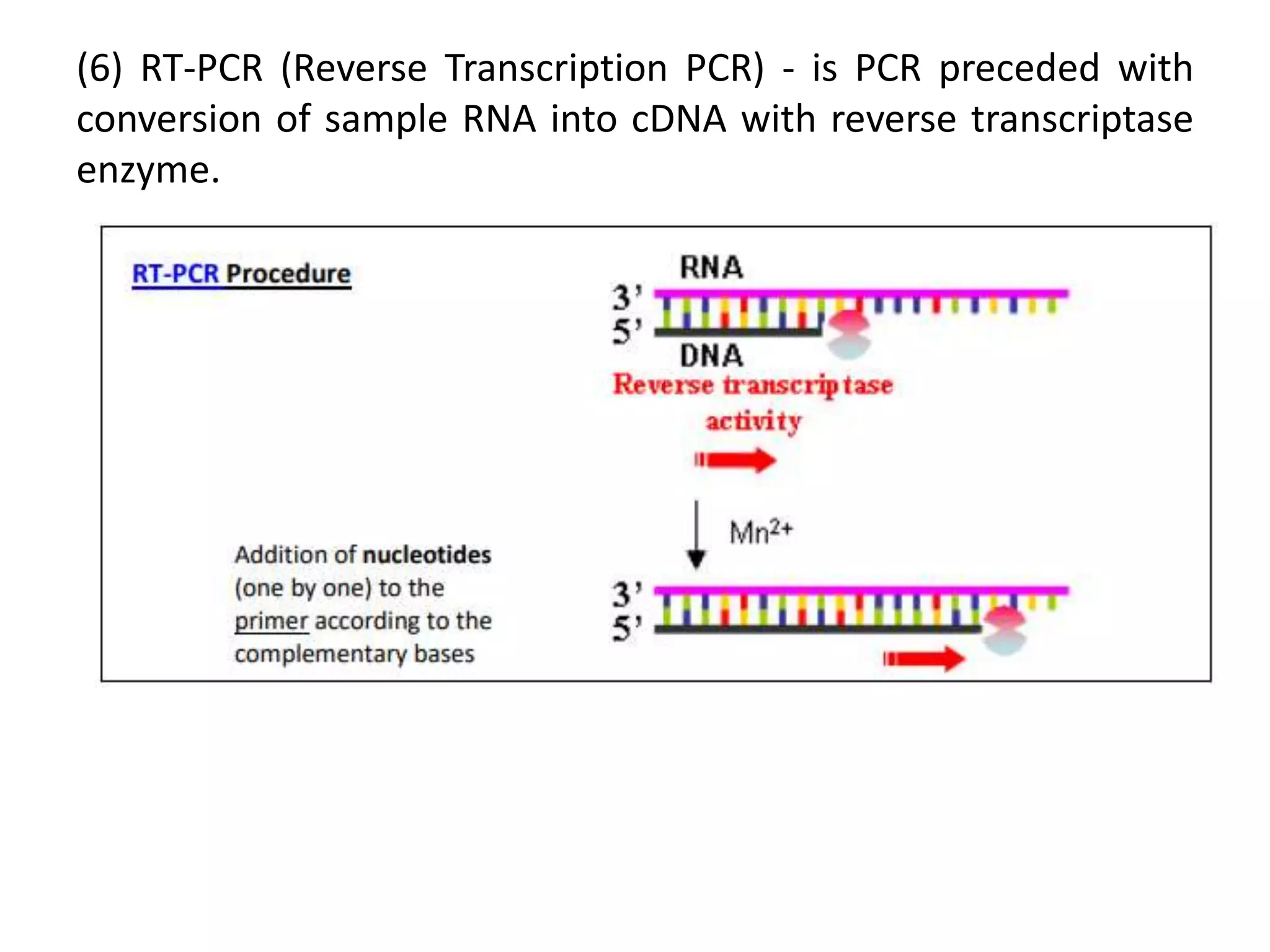 Polymerase Chain Reaction.pptx