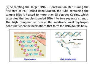 Polymerase Chain Reaction.pptx