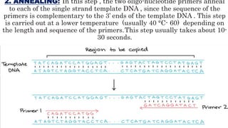 POLYMERASE CHAIN REACTION pptx | PPTX