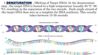 POLYMERASE CHAIN REACTION pptx | PPTX