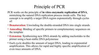 Polymerase Chain Reaction/ Presentation | PPT