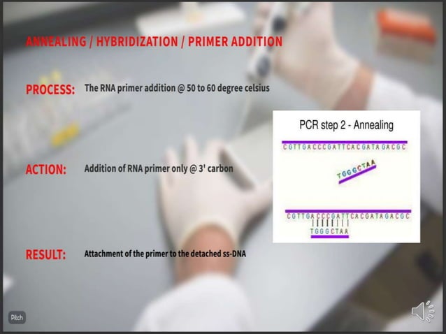 POLYMERASE CHAIN REACTION - PCR.pptx