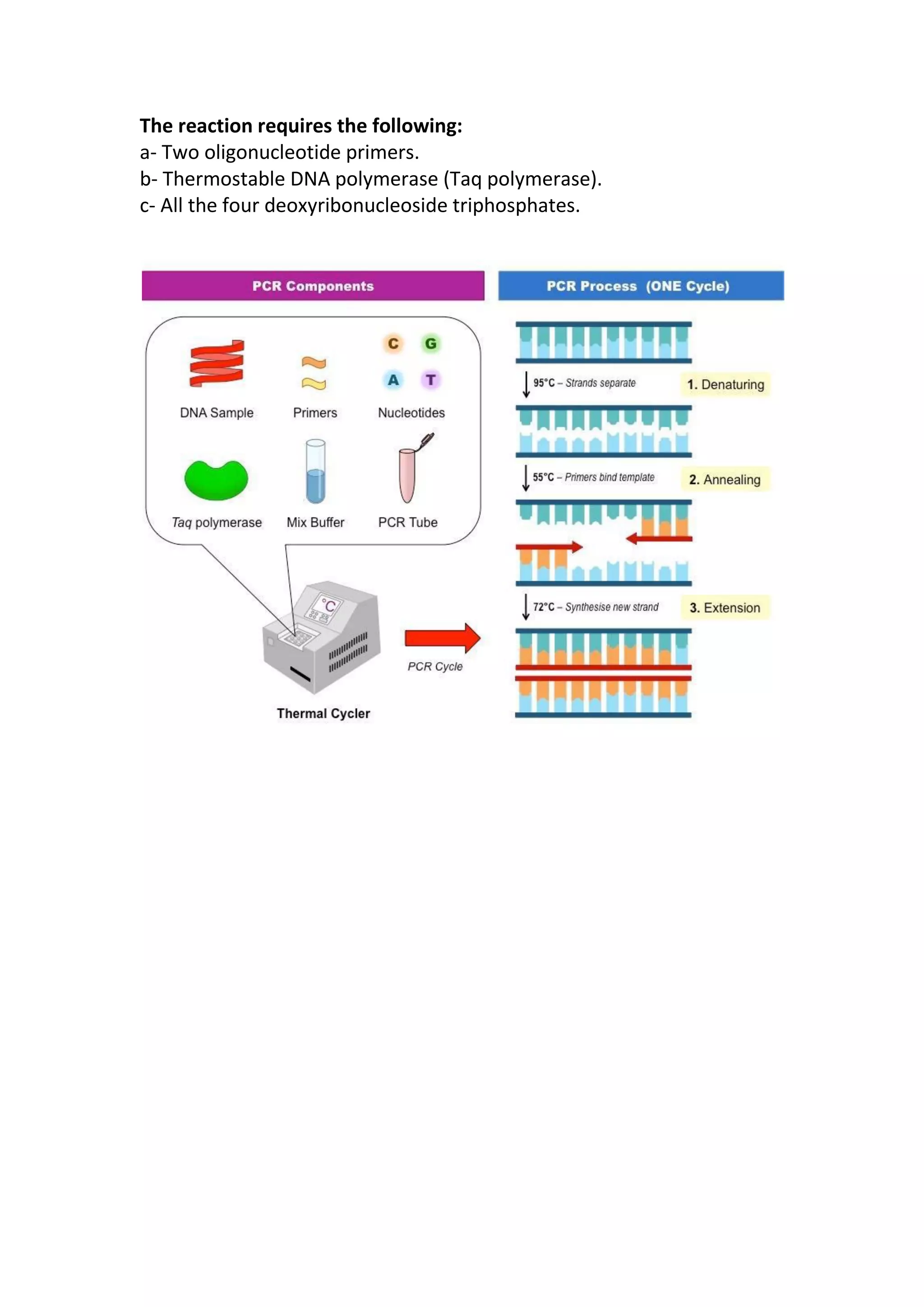 Polymerase chain reaction 2018 | PDF