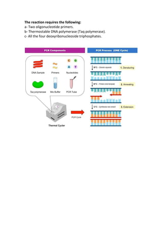 Polymerase chain reaction 2018 | PDF