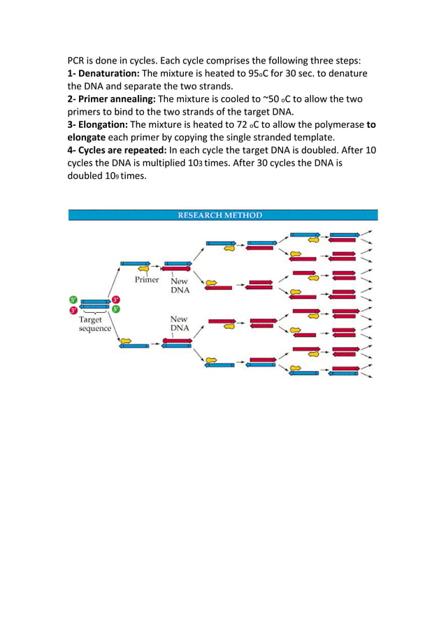 Polymerase chain reaction 2018 | PDF